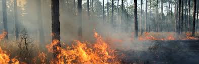 Lung Health during Forest Fires | San Luis Valley Health